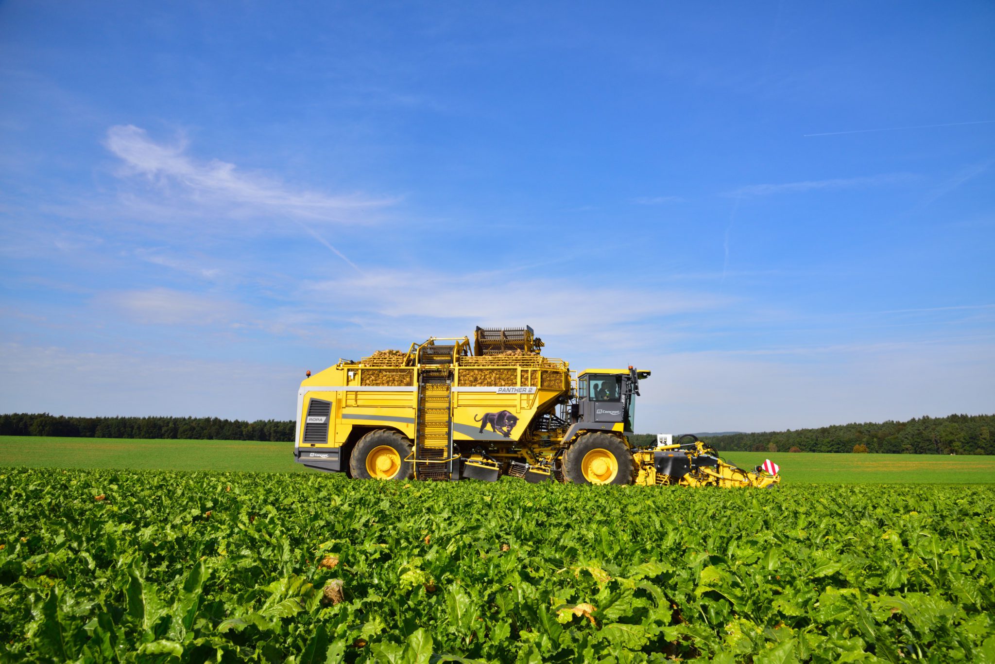 Ropa Keiler 2 - Rovadi