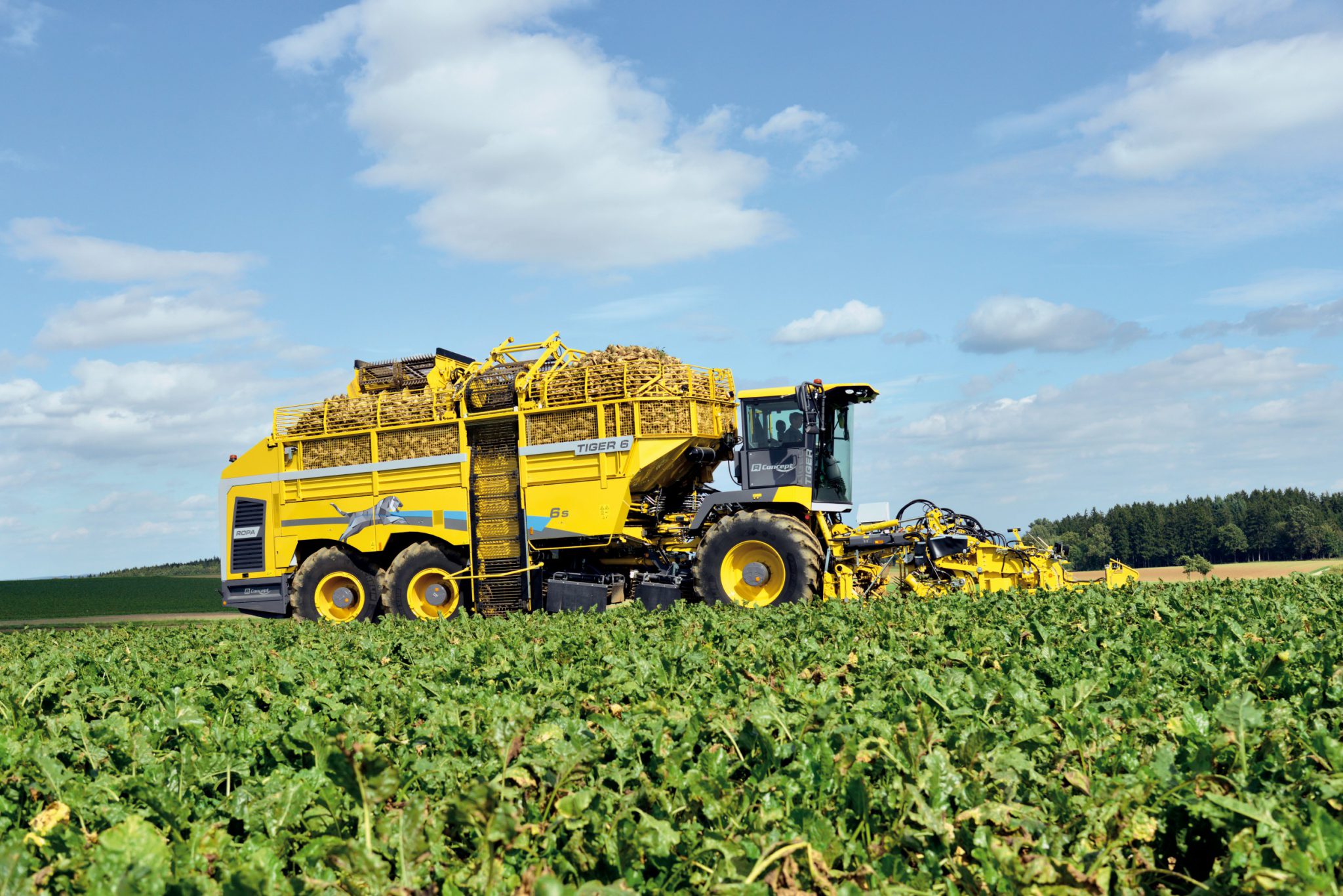 Ropa Tiger 5 - Rovadi